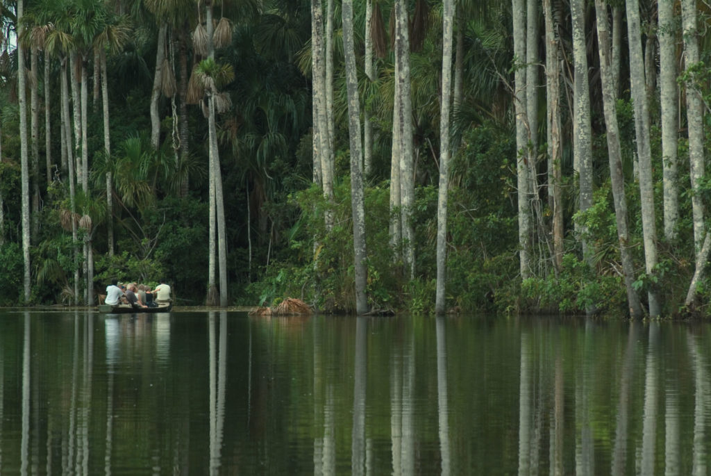Amazon Jungle Visit - Knowmad Adventures