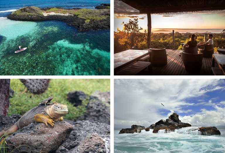 Galapagos Islands Travel - Knowmad Adventures