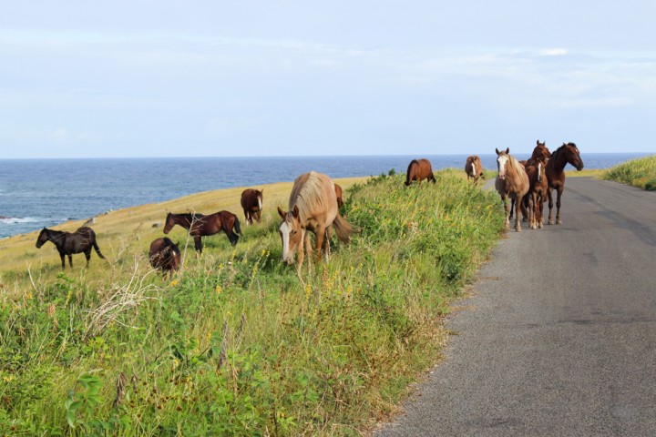 5 Tips For Visiting Easter Island - Knowmad Adventures