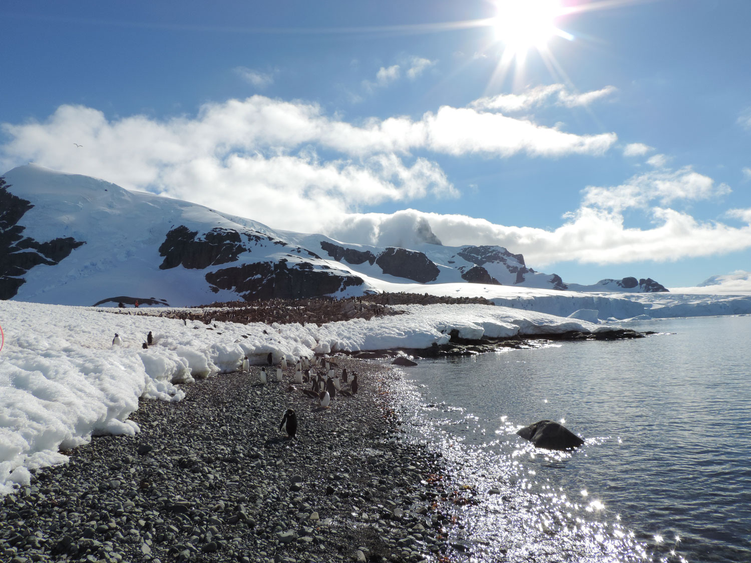 Antarctica Travel Tips + Experiences - Knowmad Adventures