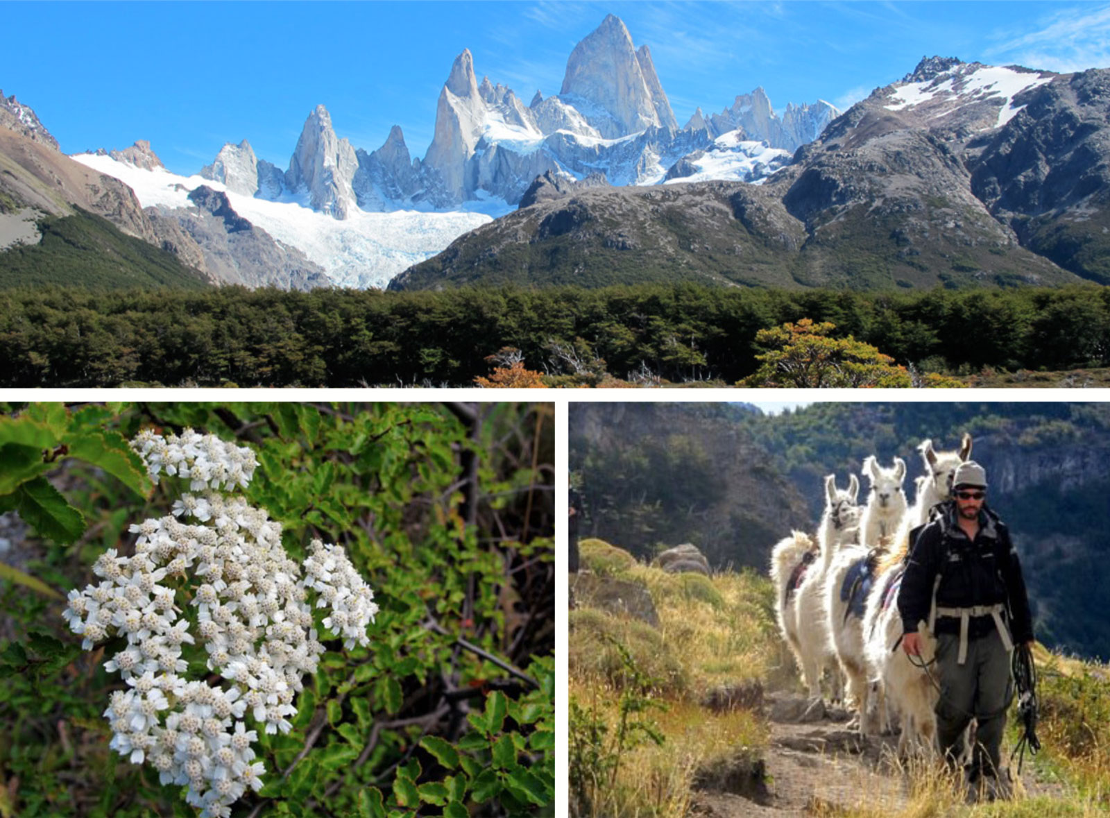 Chile + Argentina, Patagonia, South America - Knowmad Adventures