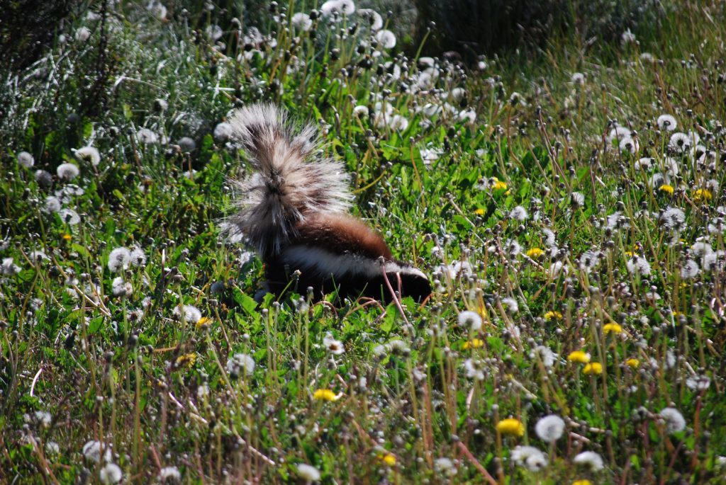 Traveling to Patagonia in Shoulder Season - Knowmad Adventures