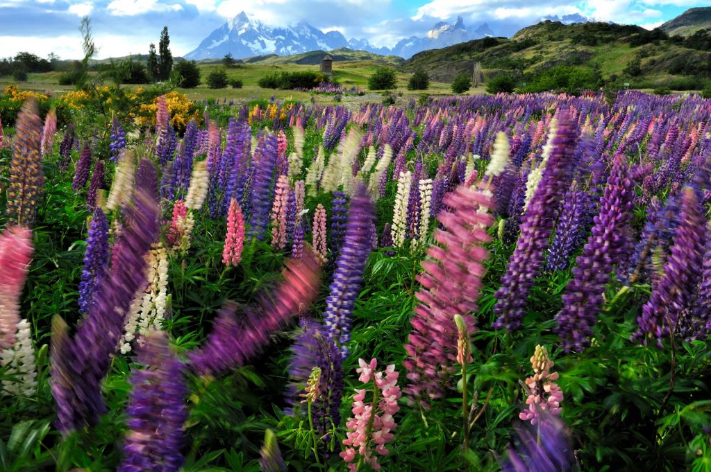 Traveling to Patagonia in Shoulder Season - Knowmad Adventures